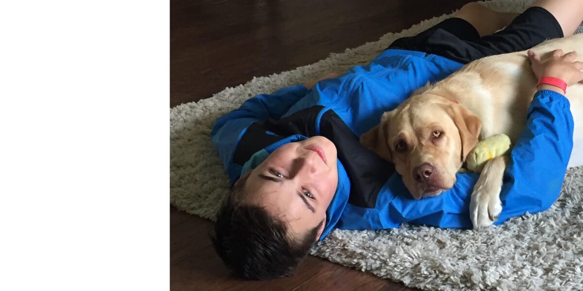 Daniel Messent's Family – Champions for Animals